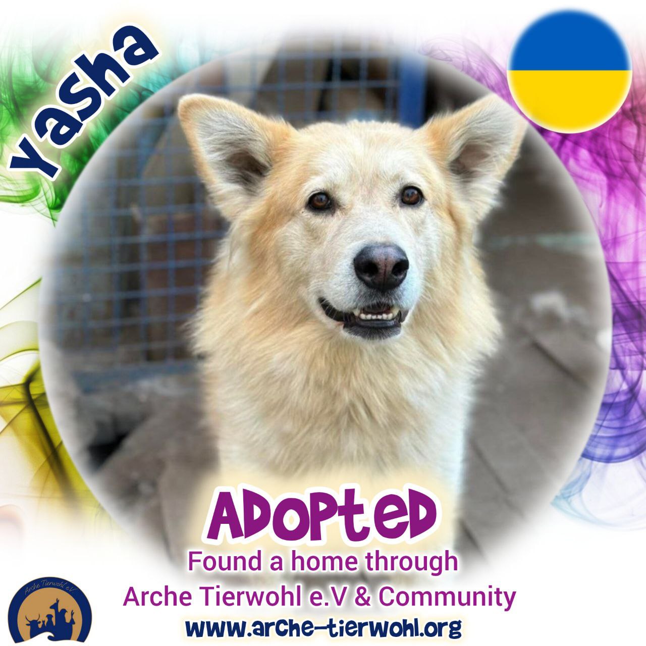 Arche Tierwohl e.V. – Echter Tierschutz, Tiervermittlung mit Herz ...