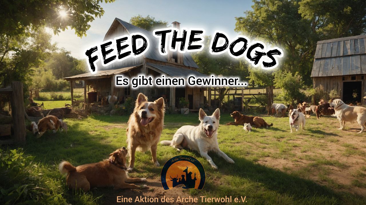 Arche Tierwohl e.V. – Echter Tierschutz, Tiervermittlung mit Herz ...